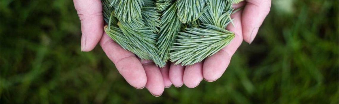 Book your session – ConnectionLab